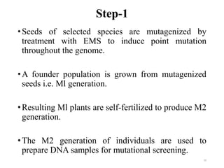 Target Inducing Local Lesions In Genome (Tilling) | PPTX
