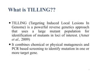 Target Inducing Local Lesions In Genome (Tilling) | PPTX