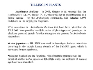 Tilling and Ecotilling for crop improvement | PPTX