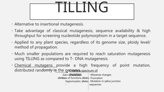 Tilling [targeting induce local lesions in genome | PPTX