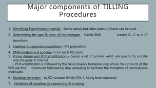 Tilling [targeting induce local lesions in genome | PPTX