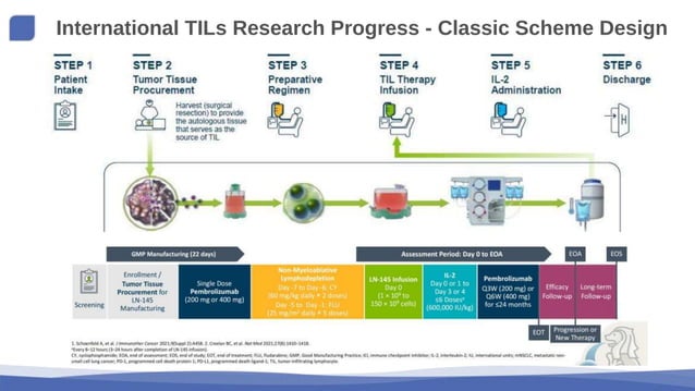 TIL (Tumor Infiltrating Lymphocyte) therapy.pptx