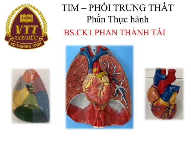 TIM - PHỔI TRUNG THẤT.pdf