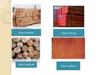 Timber | PPT