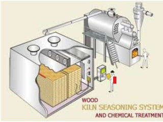 Timber and its theory | PPSX | Woodworking | Arts and Crafts