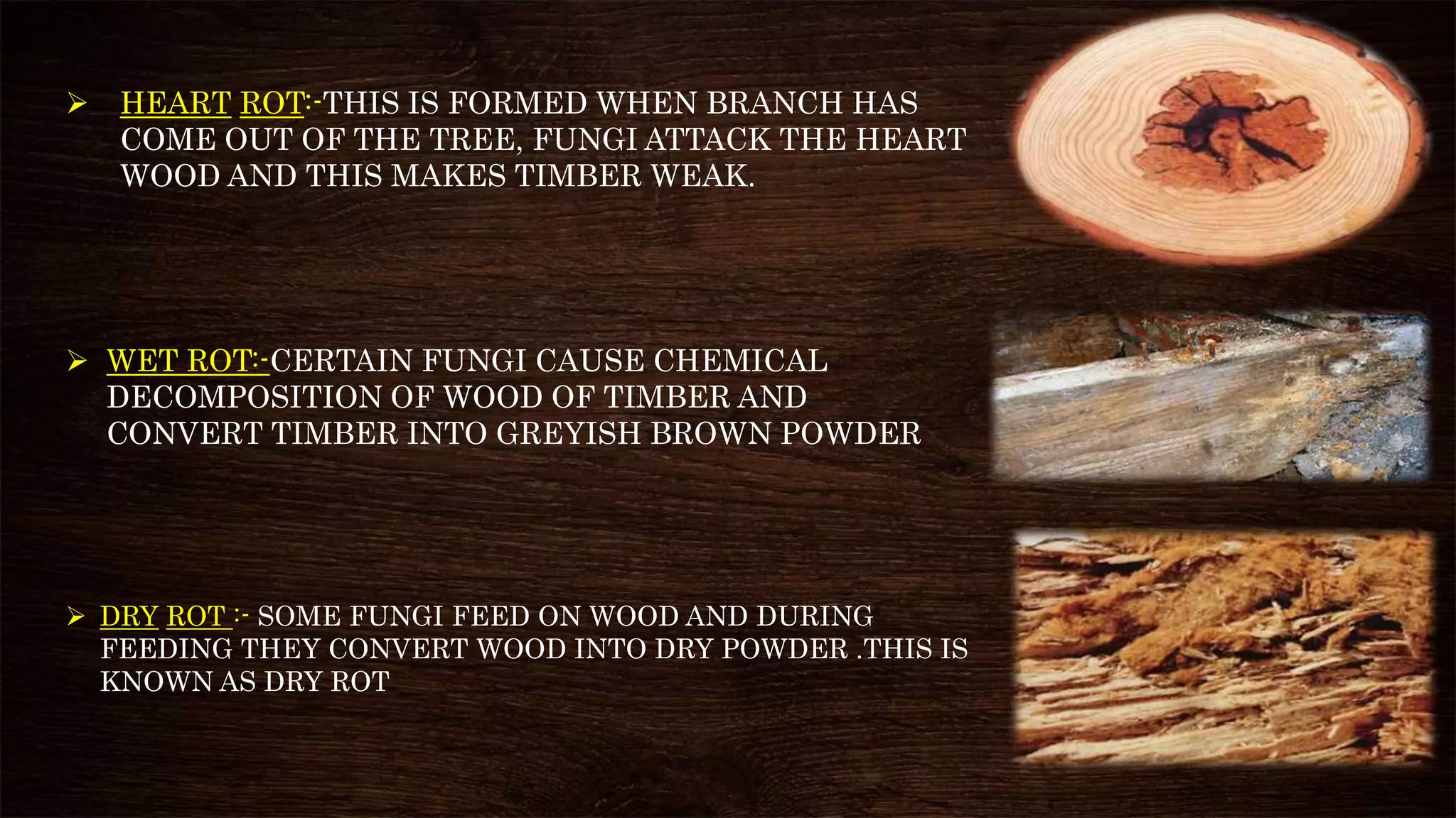 Timber+ basic civil engineering | PPTX