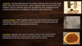 Timber+ basic civil engineering | PPTX