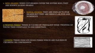 Timber+ basic civil engineering | PPTX