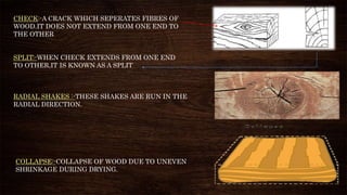 Timber+ basic civil engineering | PPTX