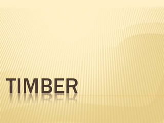 Timber | PPTX