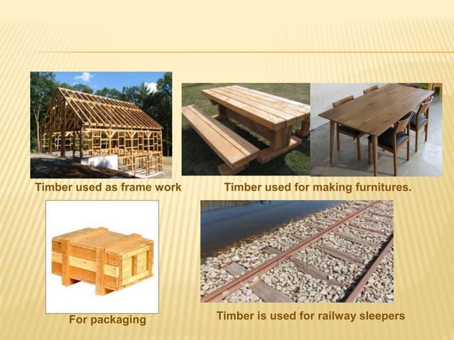 Timber | PPTX | Woodworking | Arts and Crafts