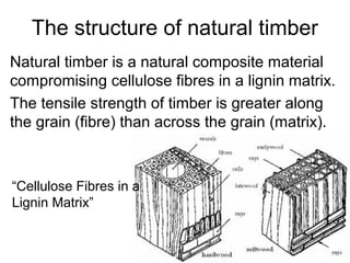 Timber | PPT