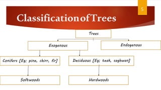 Timber and Timber Flooring | PPTX