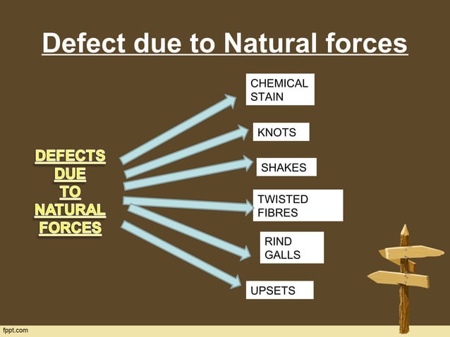 timber characteristics and defects | PPT | Woodworking | Arts and Crafts