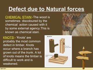 timber characteristics and defects | PPT
