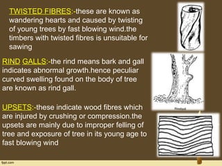 timber characteristics and defects | PPT