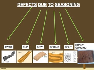 timber characteristics and defects | PPT