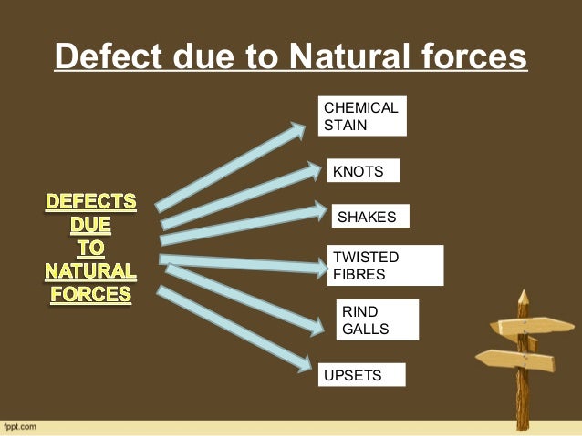 timber characteristics and defects