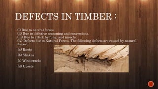 Timber | PPTX