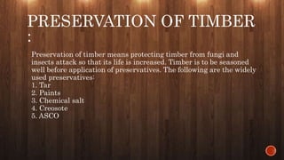 Timber | PPTX