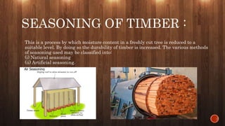 Timber | PPTX