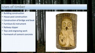 Timber- As a Building Material | PPTX