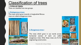 Timber | PPT