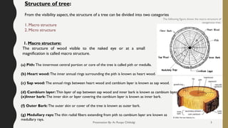 Timber | PDF