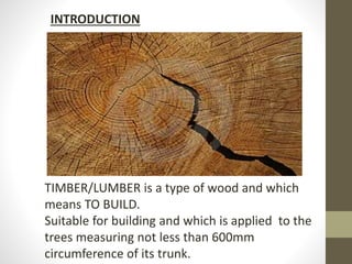 Timber | PPTX