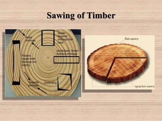 Timber-II | PPT