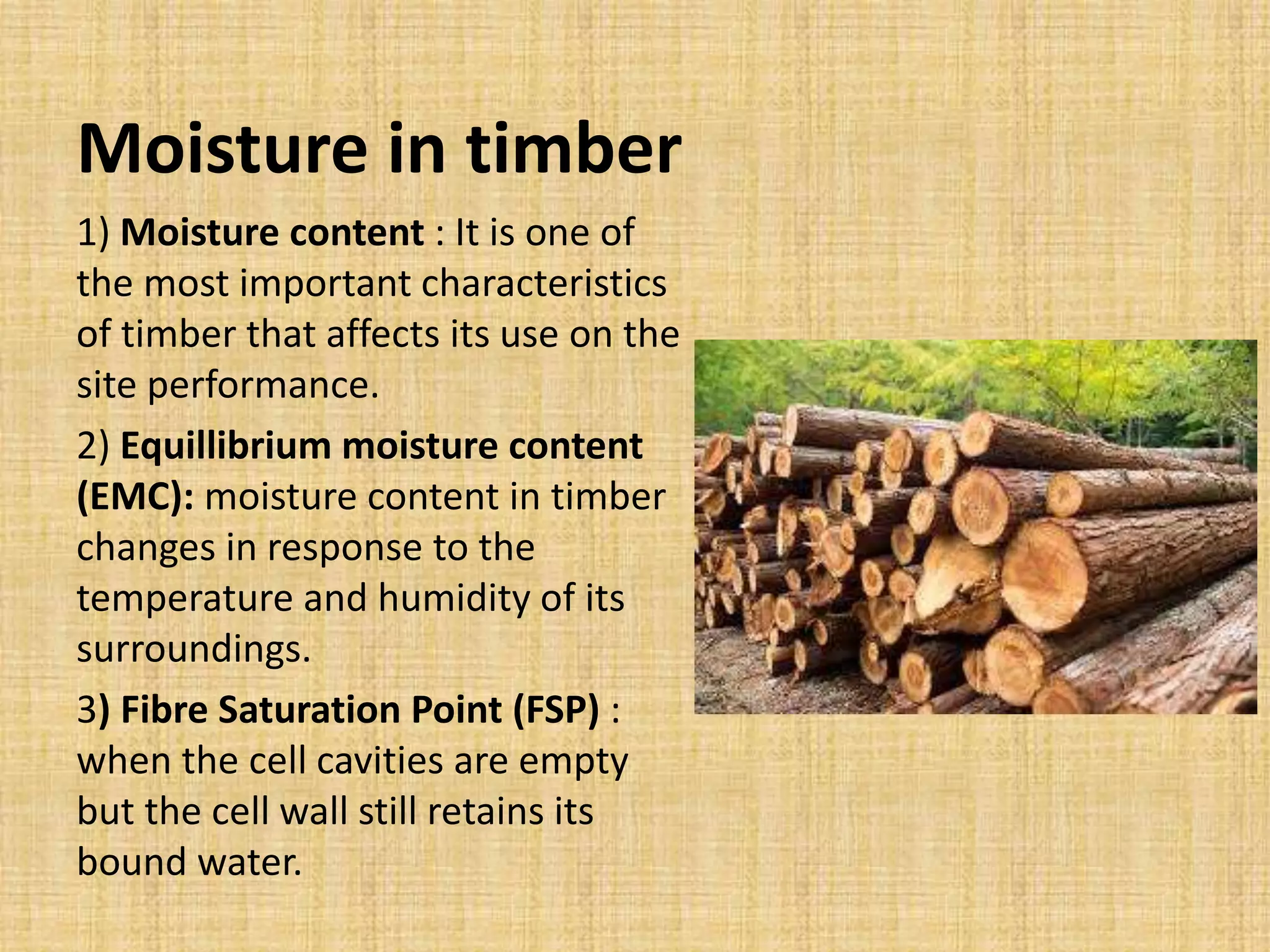 Timber | PPTX