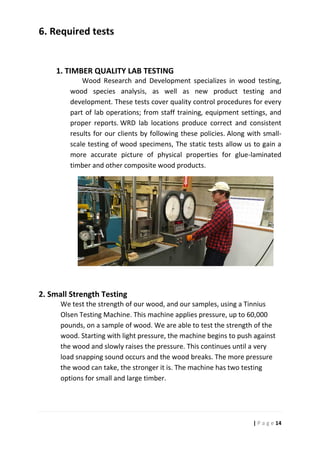 Timber classification and properties | PDF