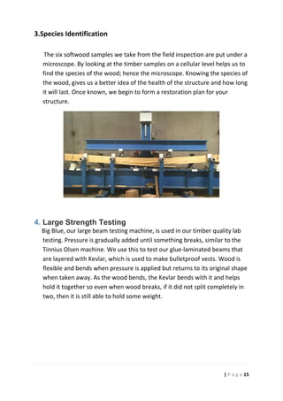 Timber classification and properties | PDF