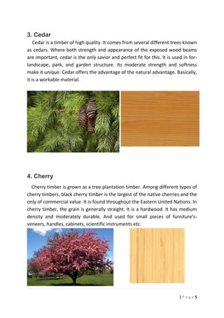 Timber classification and properties | PDF