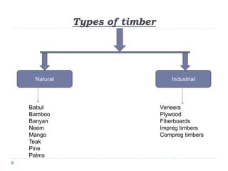 Timber | PPTX