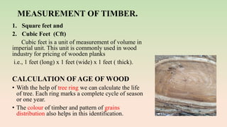 Timber | PPT