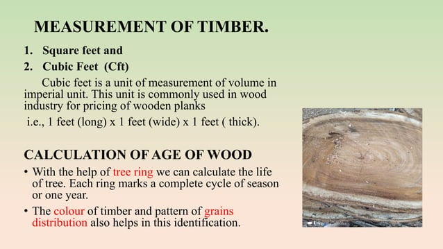 Timber | PPT
