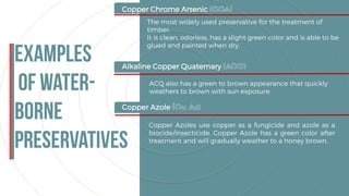 All About Timber in Civil Engineering | PDF