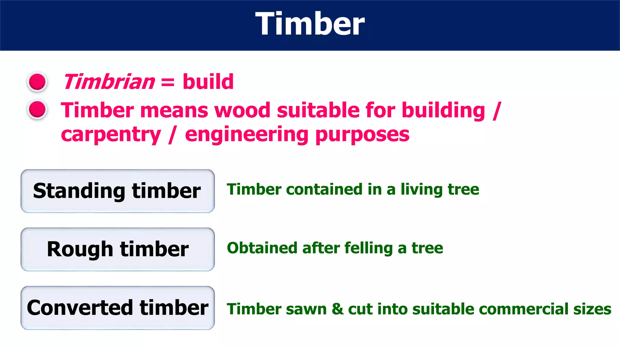 Timber | PDF