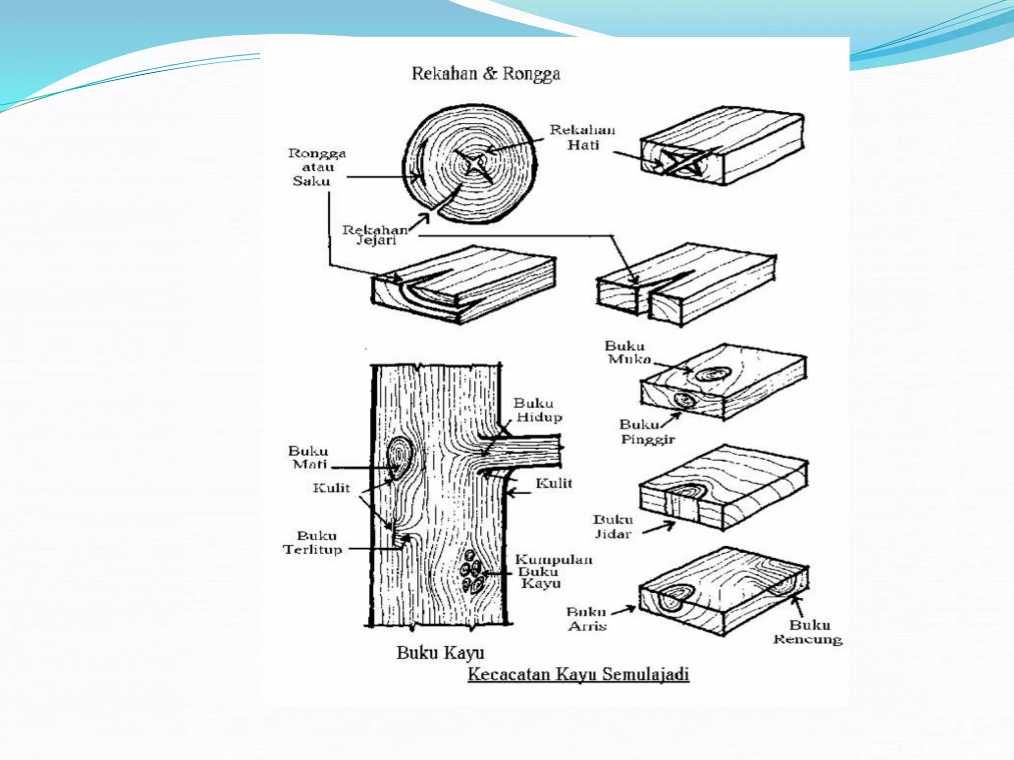 TIMBER.ppt | Woodworking | Arts and Crafts