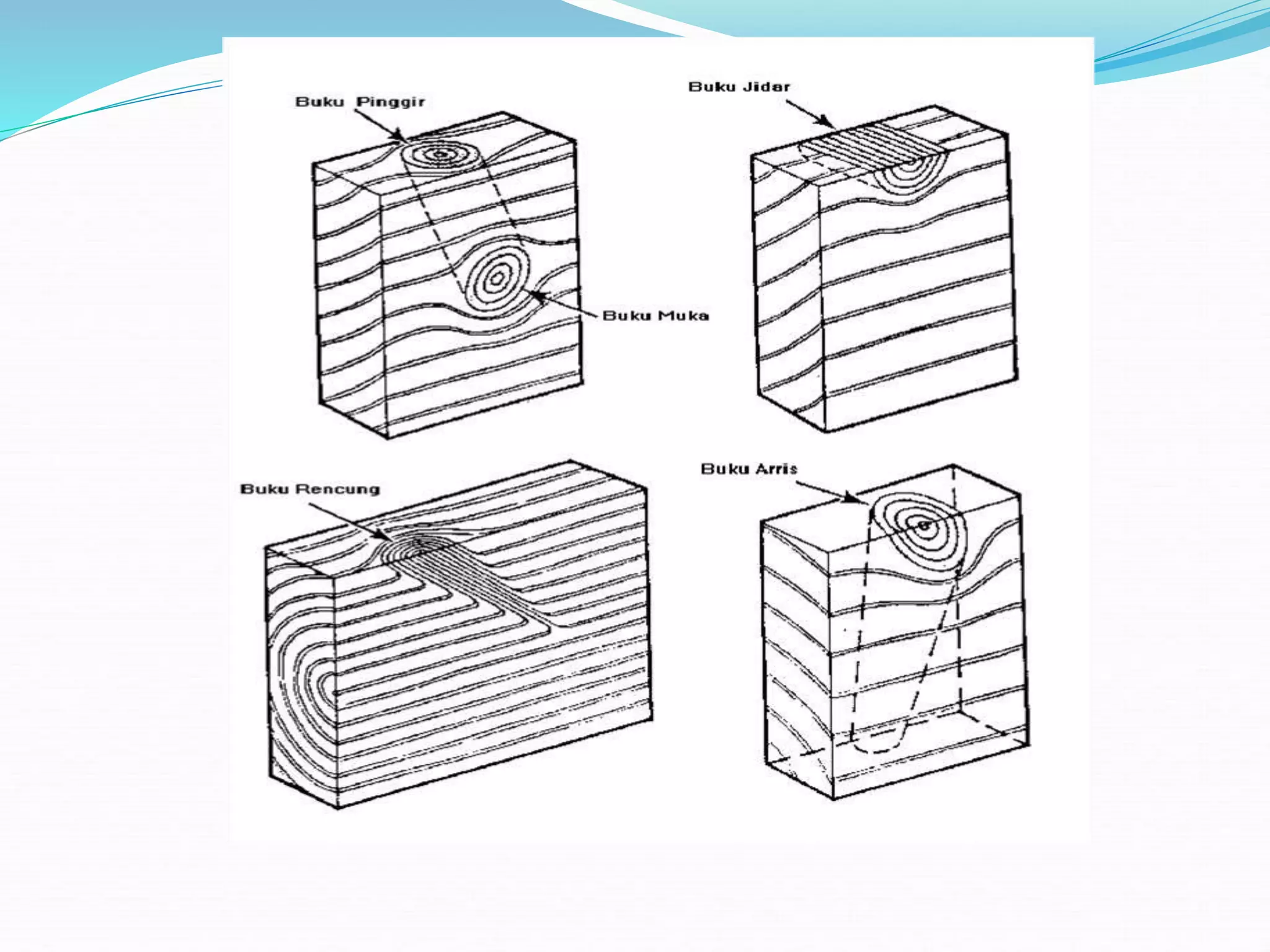 TIMBER.ppt | Woodworking | Arts and Crafts