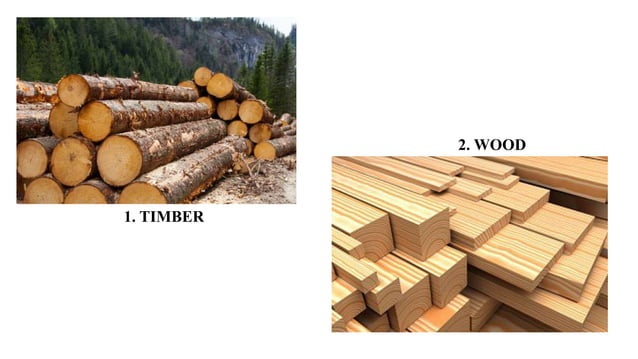 Timber.pptx