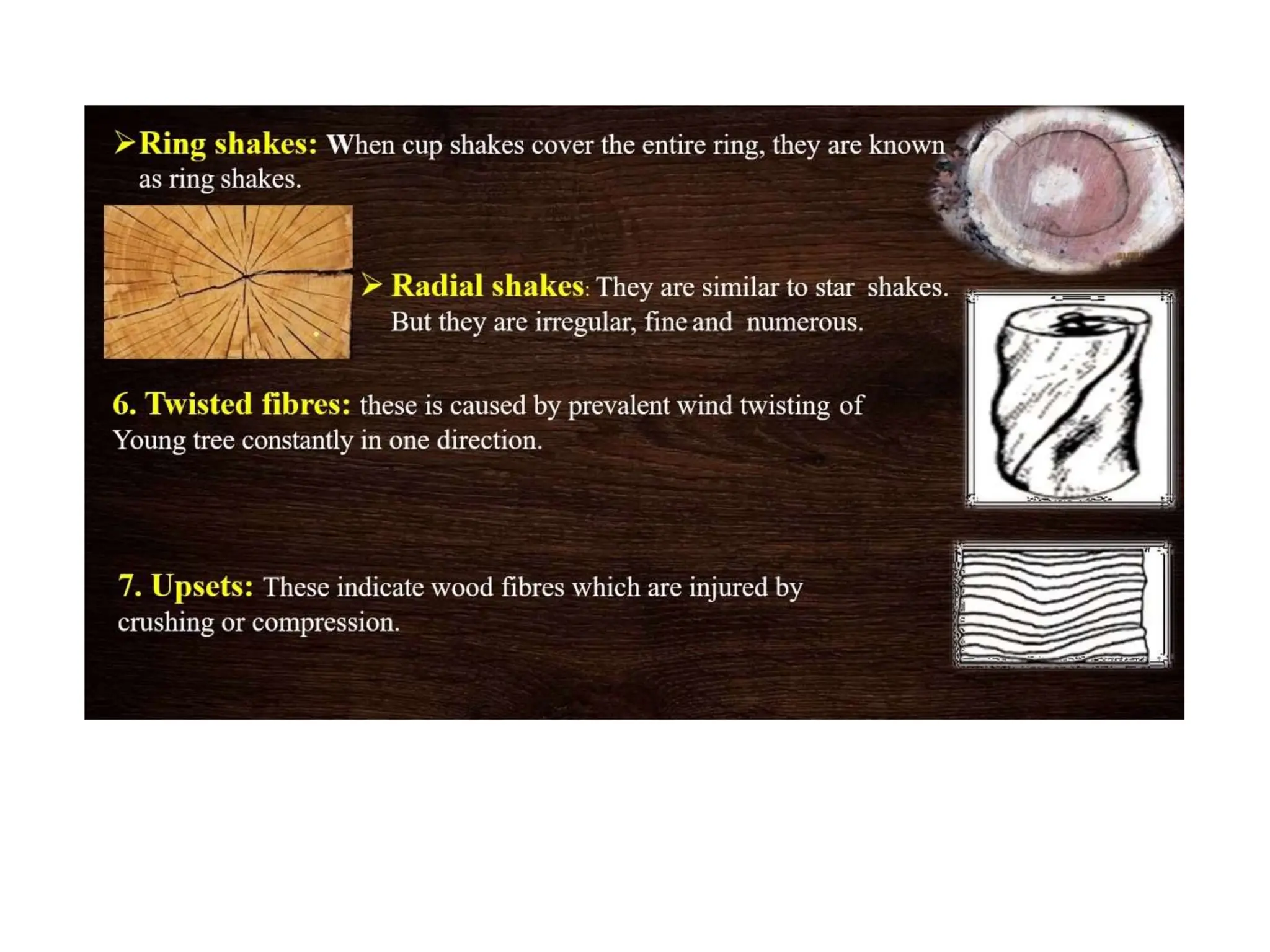 wood structure details seasoning defects | PPT