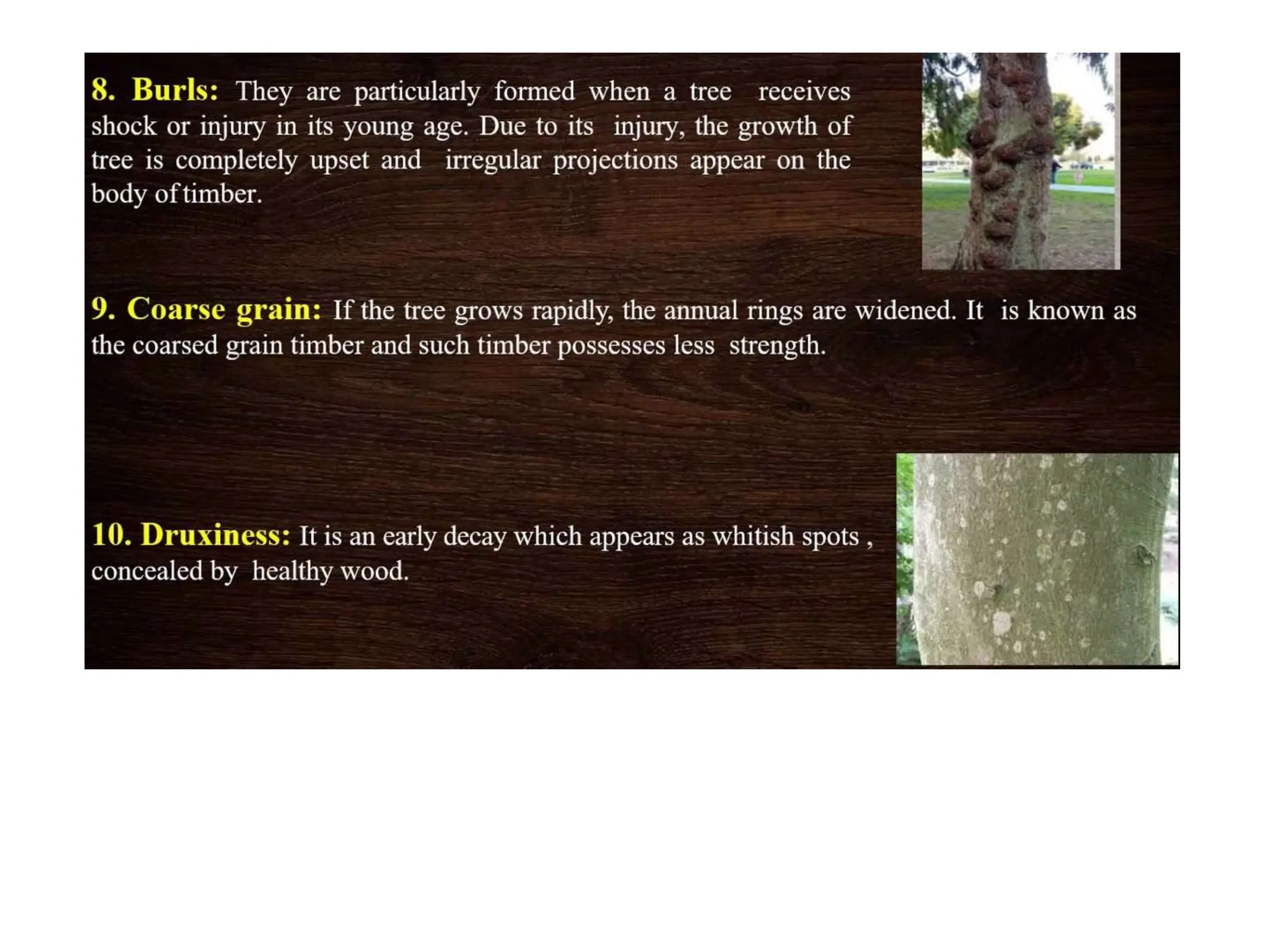 wood structure details seasoning defects | PPT