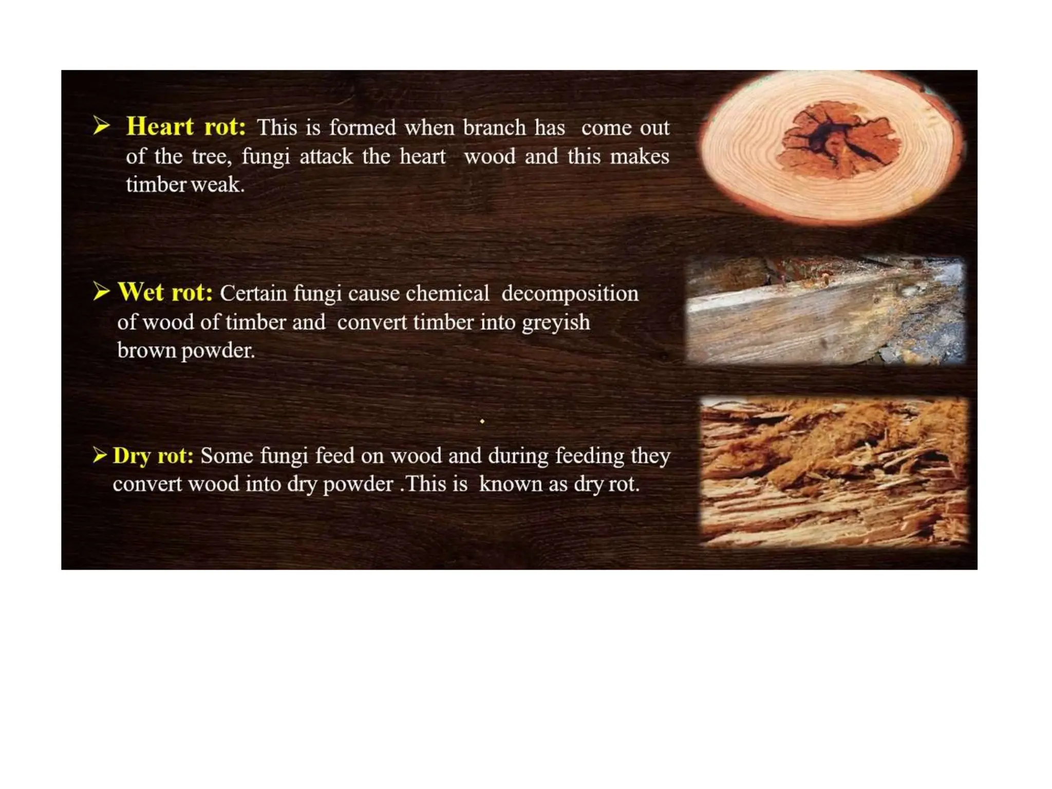 wood structure details seasoning defects | PPT