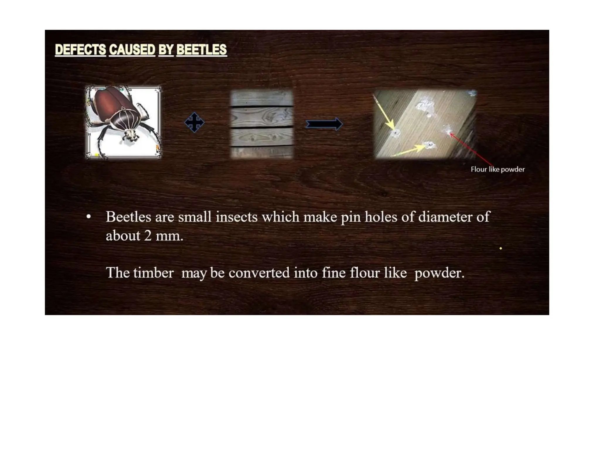 wood structure details seasoning defects | PPT