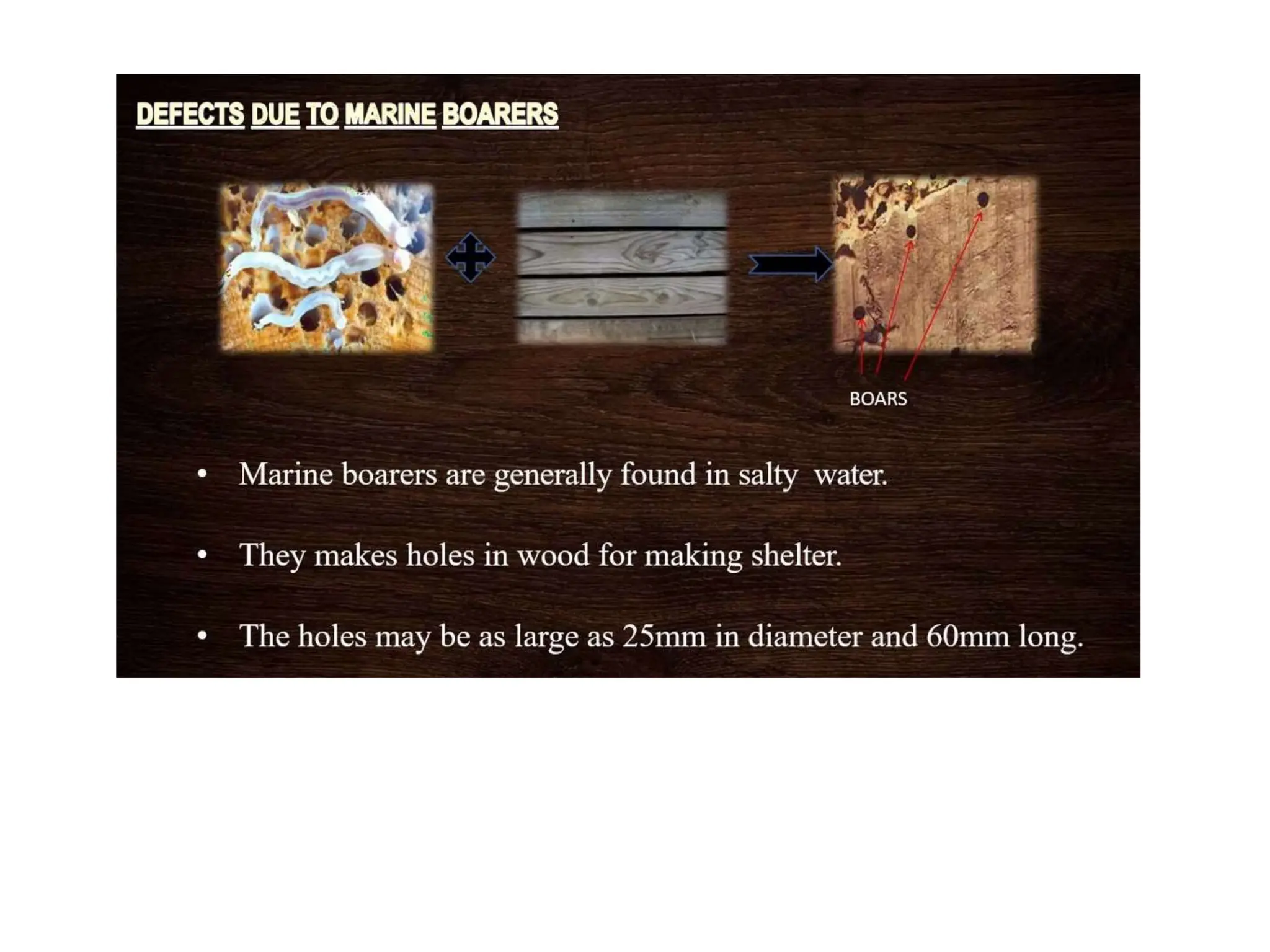 wood structure details seasoning defects | PPT