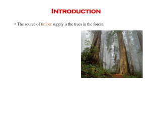 wood structure details seasoning defects | PPT