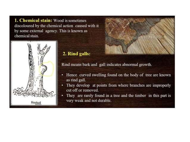 wood structure details seasoning defects | PPT