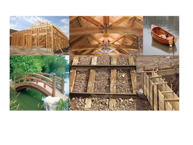 wood structure details seasoning defects | PPT